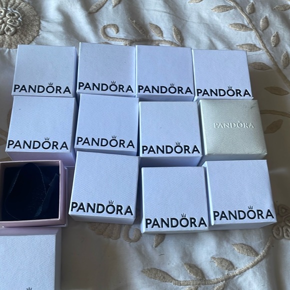 Pandora | Accessories | Pandora Charm Boxes For Sale | Poshmark